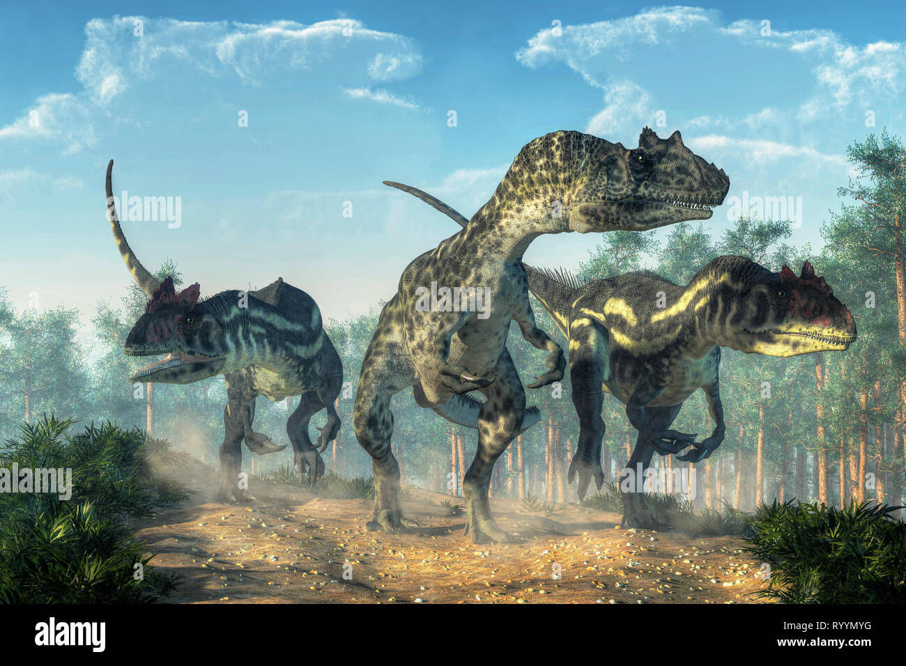 Allosauruses hi-res stock photography and images - Alamy