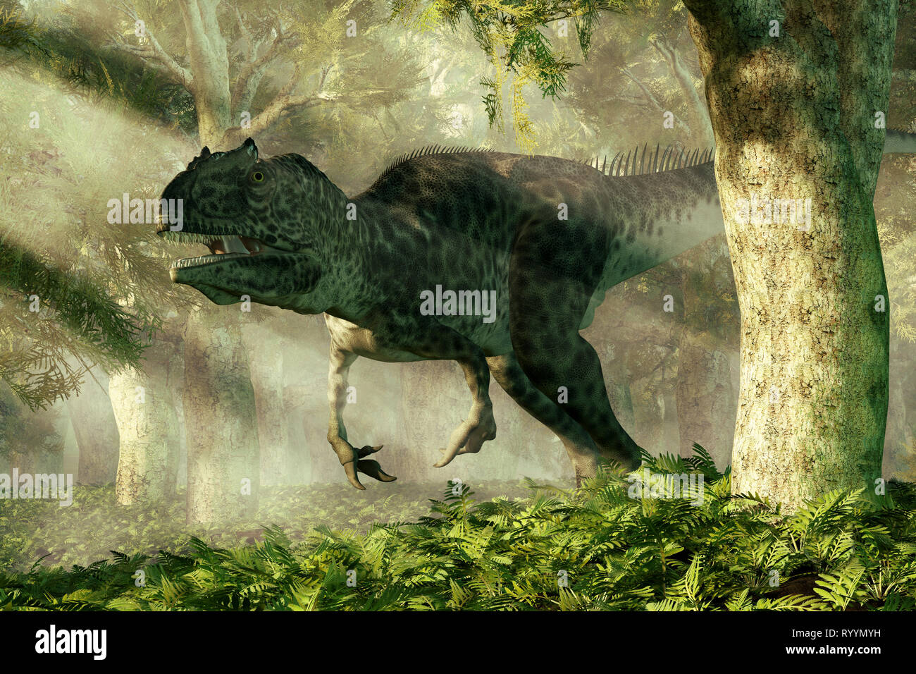 An allosaurus stalks a dense Jurassic era forest. The dinosaur turns to ...