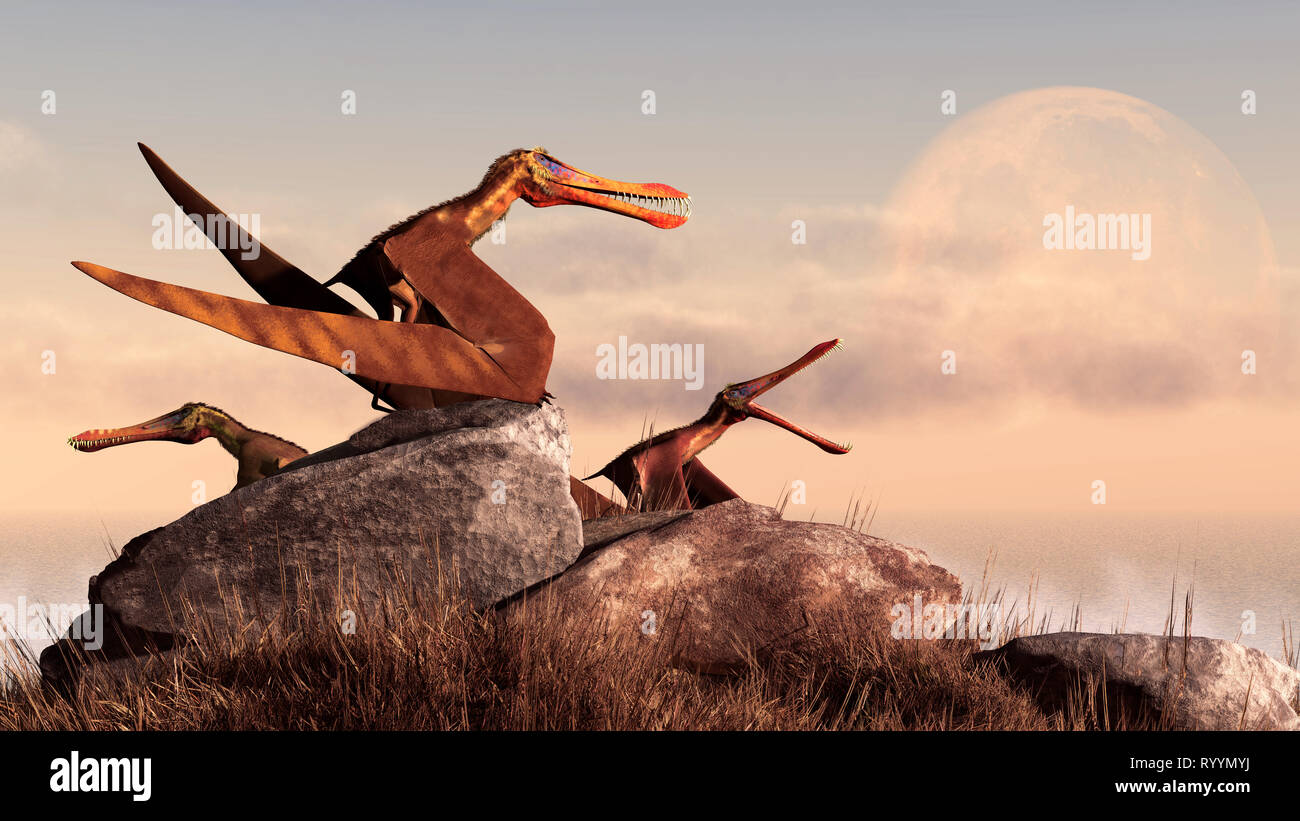 Pterosaurs flying and cretaceous hi-res stock photography and images ...