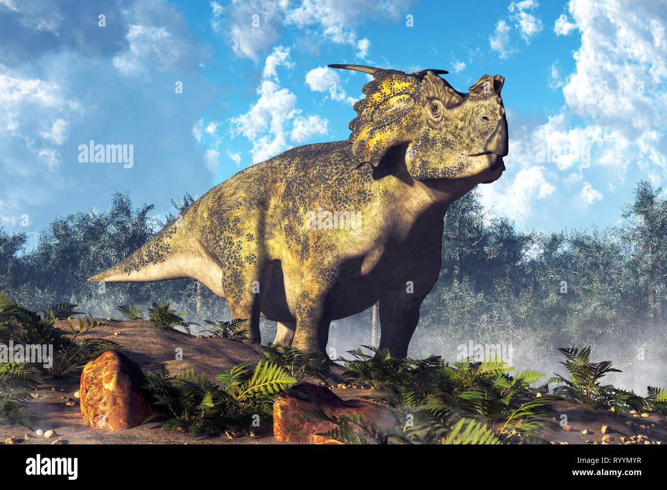 An achelousaurus stands on a fern covered hillside. A forest of ...