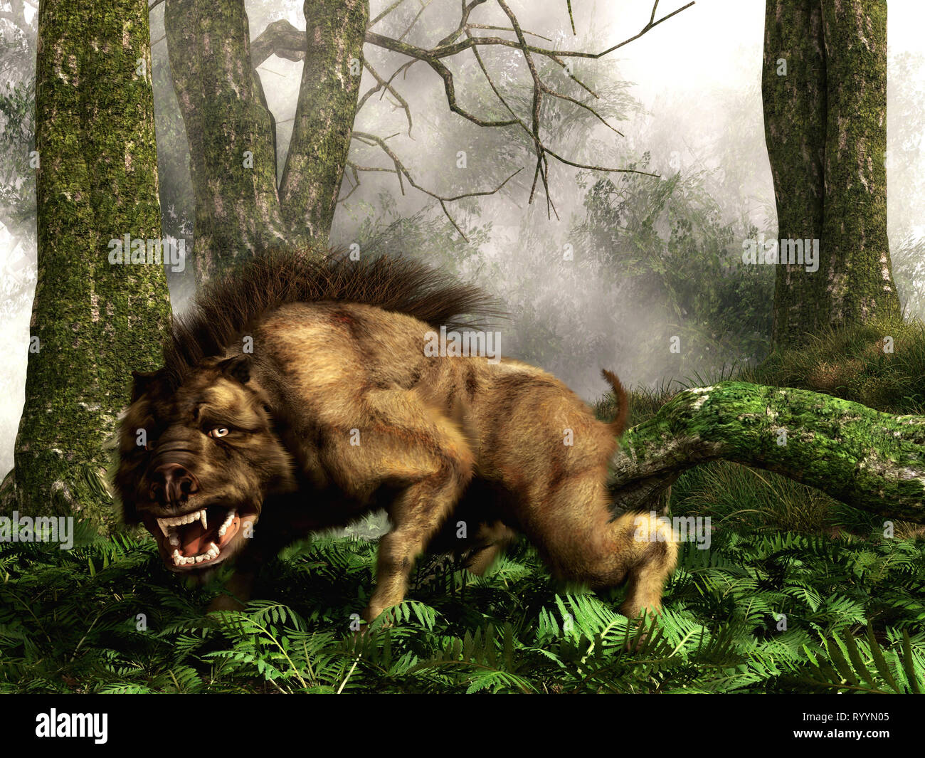 Daeodon extinct mammal hi-res stock photography and images - Alamy