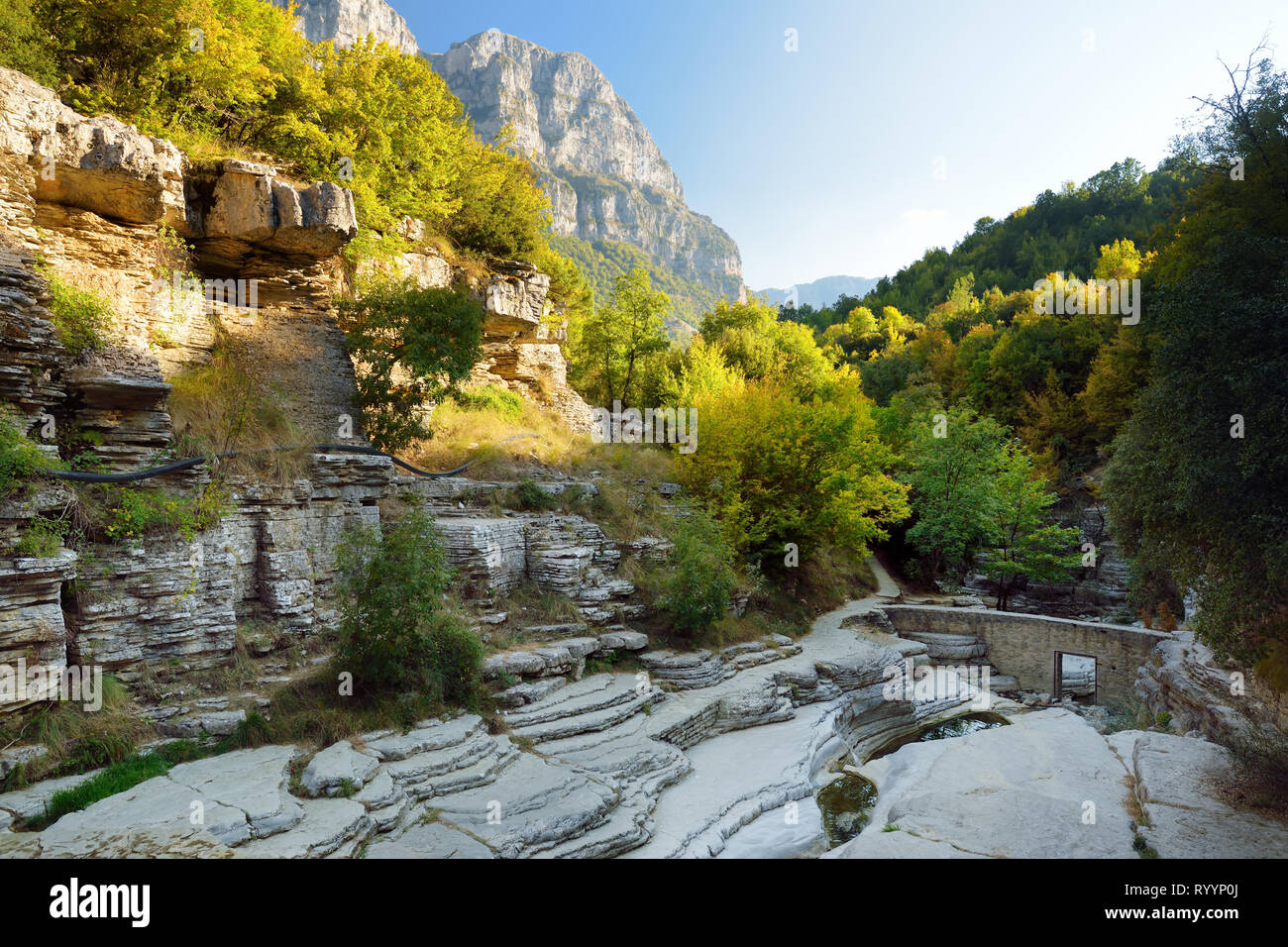 Small papigo hi-res stock photography and images - Alamy