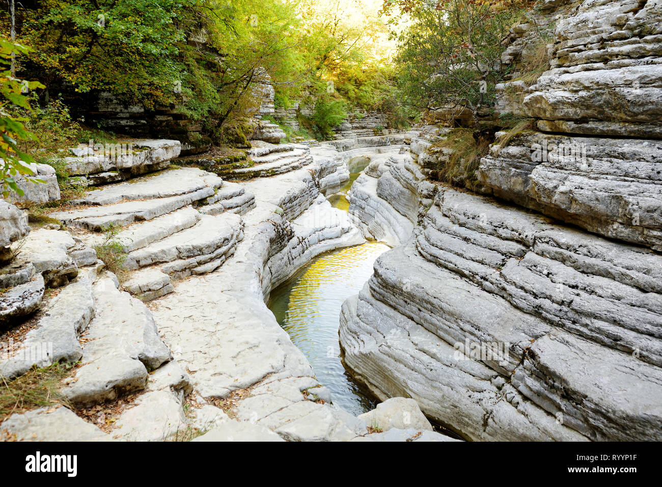 Small papigo hi-res stock photography and images - Alamy