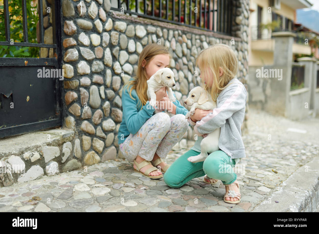 Girl playing puppies hi-res stock photography and images - Alamy
