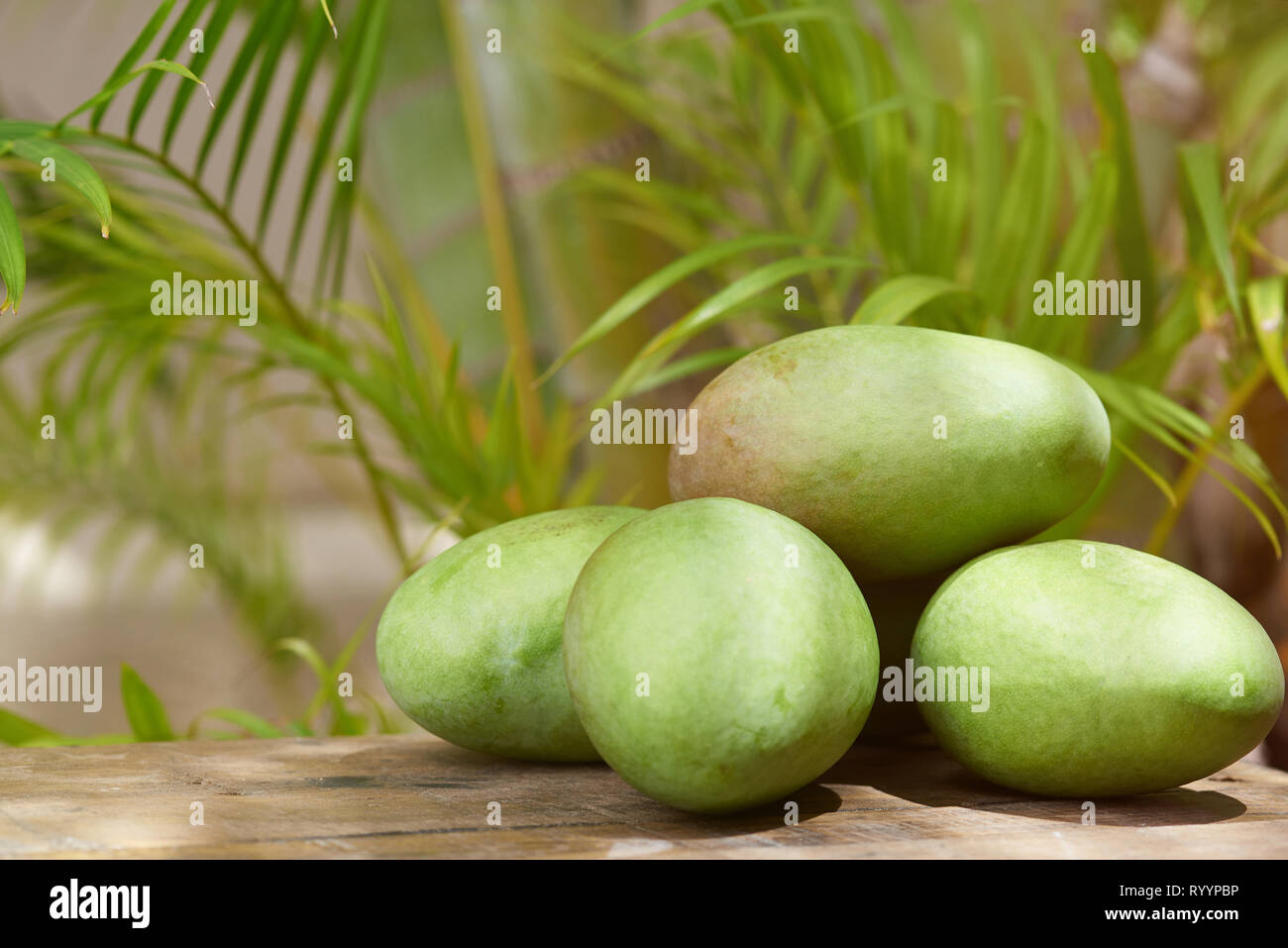 Table of mango hi-res stock photography and images - Alamy