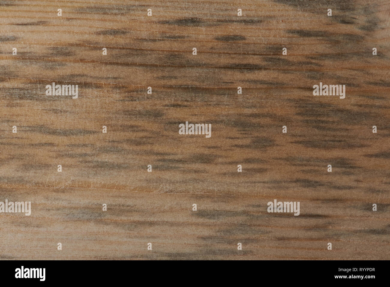Wooden surface with black spots close up view Stock Photo - Alamy