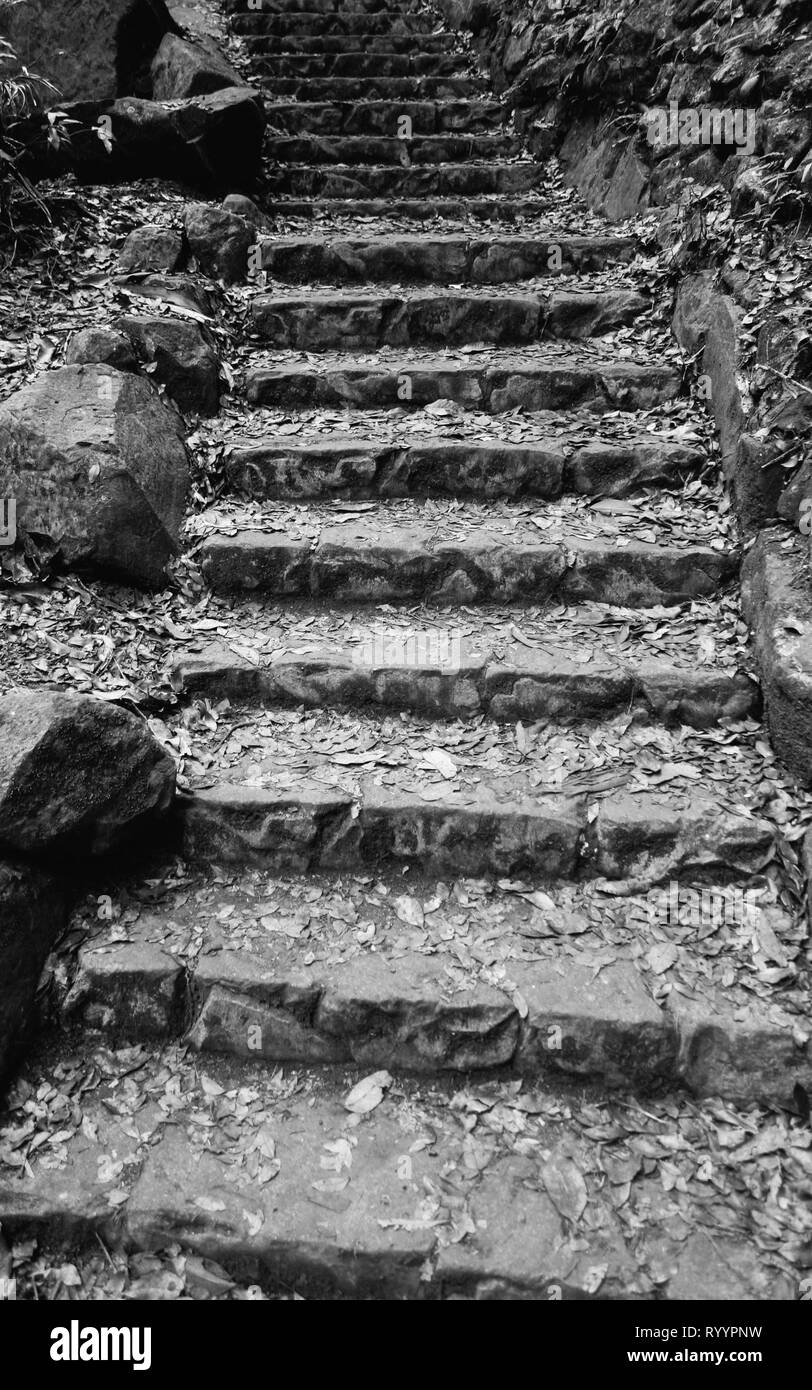 Steps on a hiking trail in a national park Stock Photo - Alamy