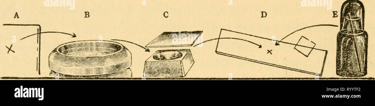 Dissecting microscope hi-res stock photography and images - Alamy