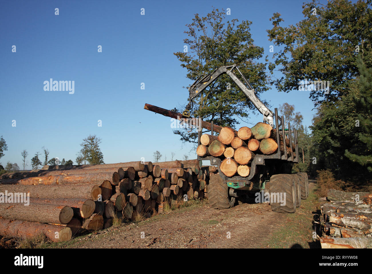 Forwarder stacking timber by side of the track ready for collection ...