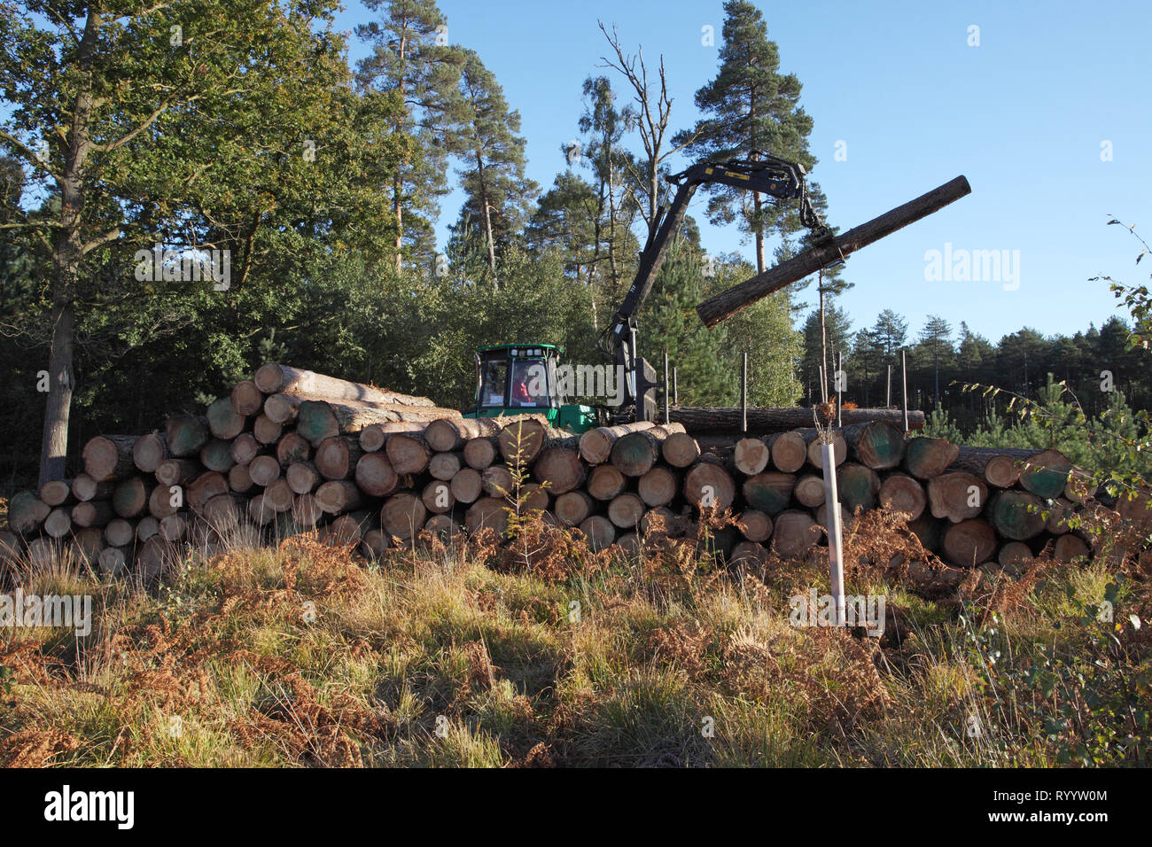 Forwarder stacking timber ready for collection Frame Heath Inclosure ...