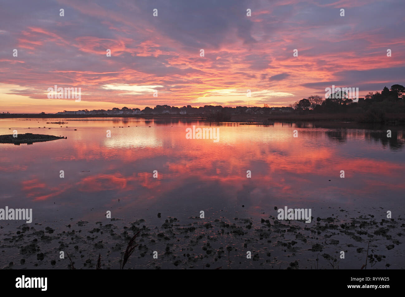 Sunrise over The Lagoon Dorset Wildlife Trust reserve Brownsea Island ...