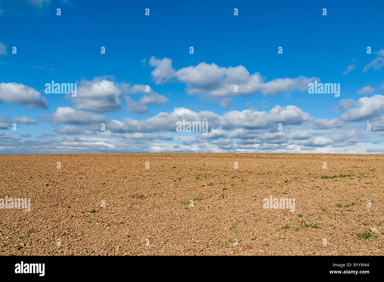 unplanted field with altocumulus clouds Stock Photo - Alamy