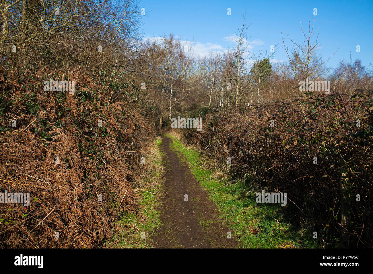 Footpath beside ivy lake hi-res stock photography and images - Alamy