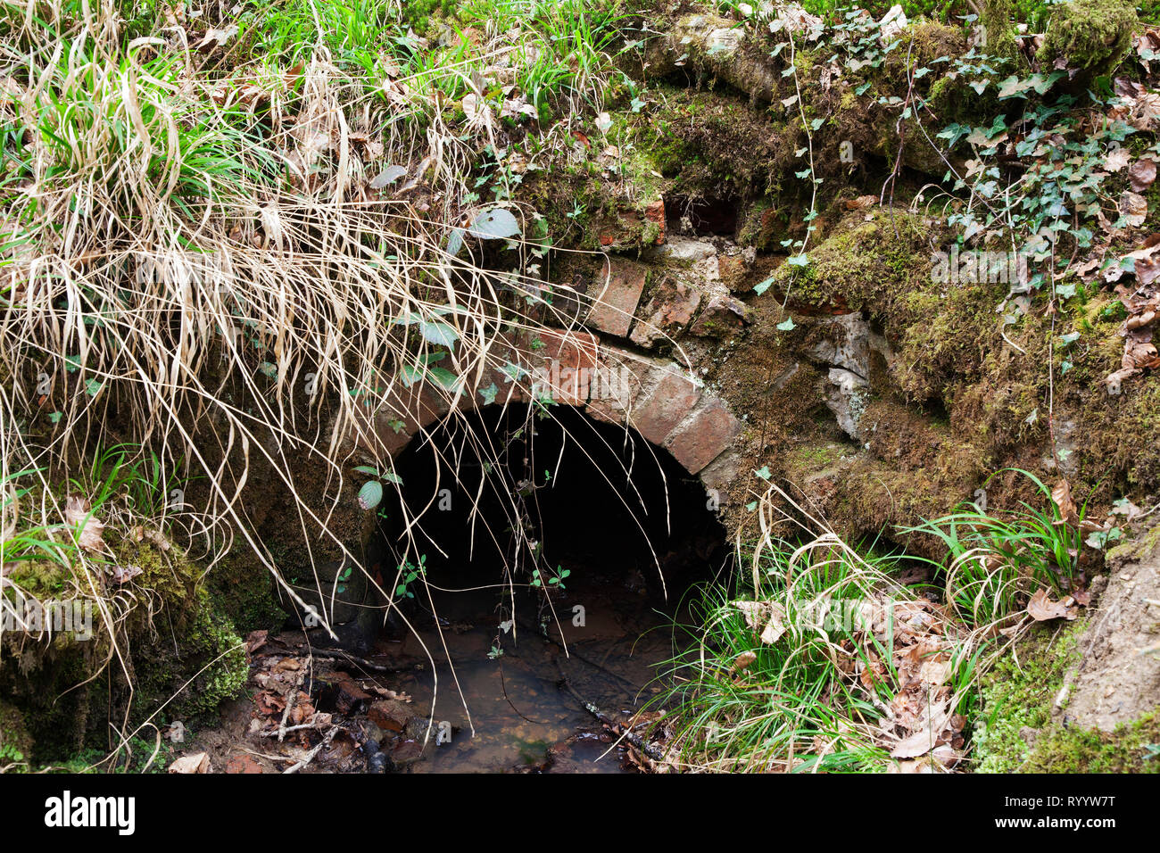Victorian built brick culvert, Pondhead Inclosure, New Forest National ...