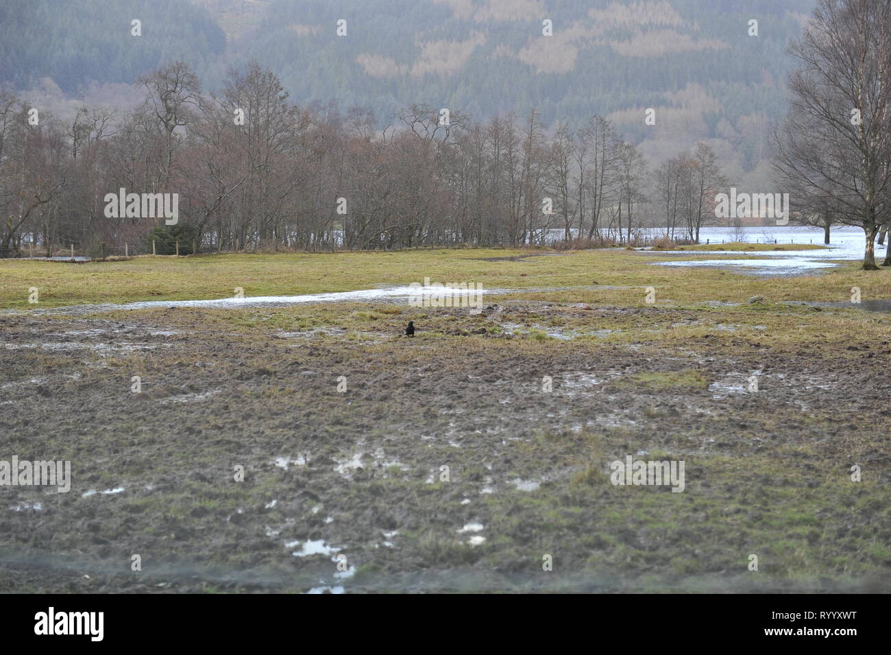 Muddy field at ground level hi-res stock photography and images - Alamy