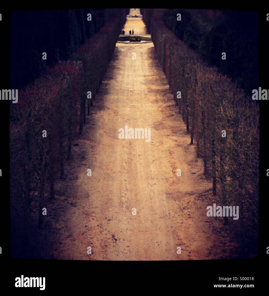 Pathway Hedges High Resolution Stock Photography and Images - Alamy