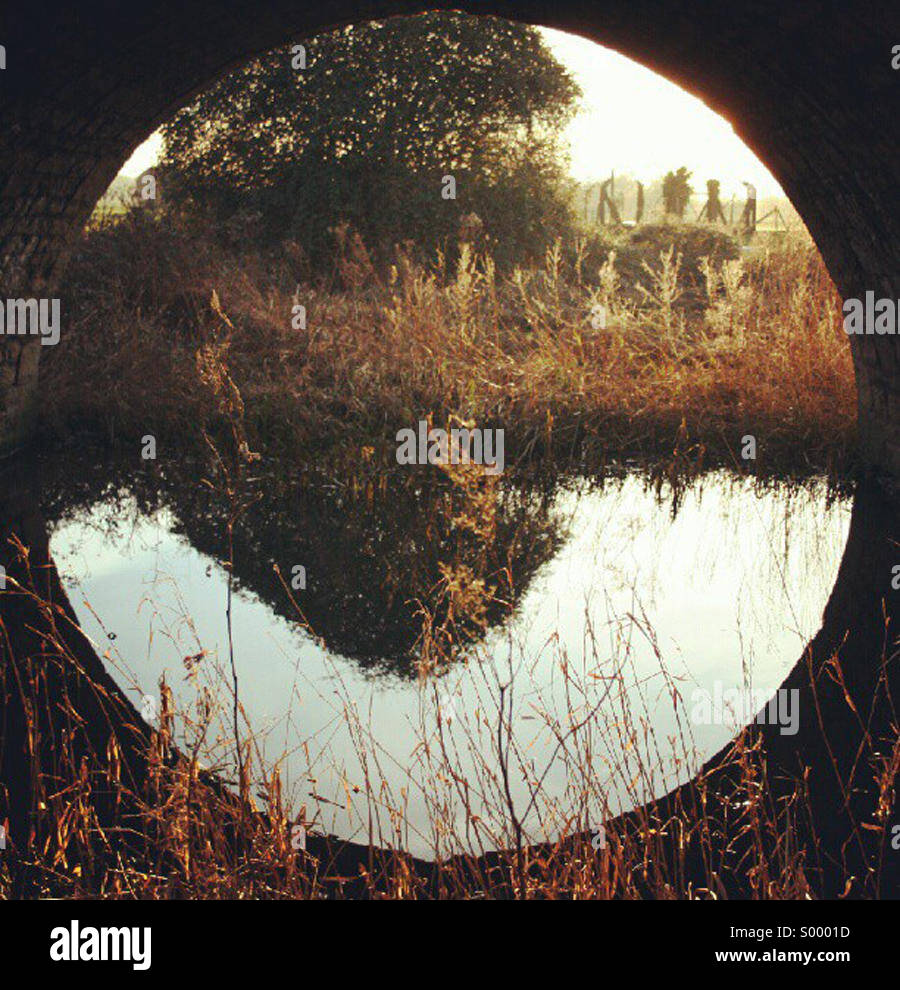 Reflection under bridge hi-res stock photography and images - Alamy