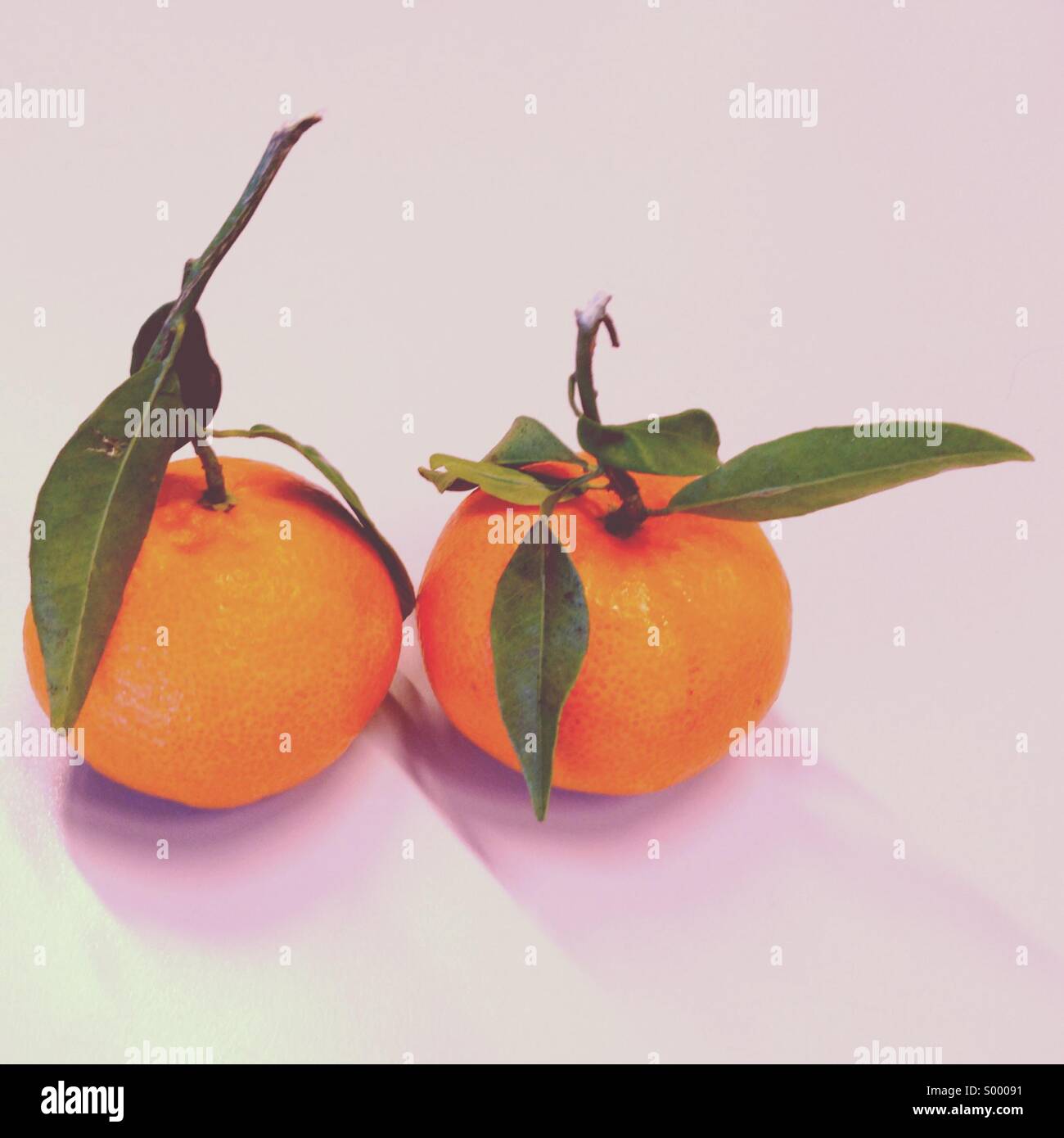 Satsuma Fruit High Resolution Stock Photography and Images - Alamy
