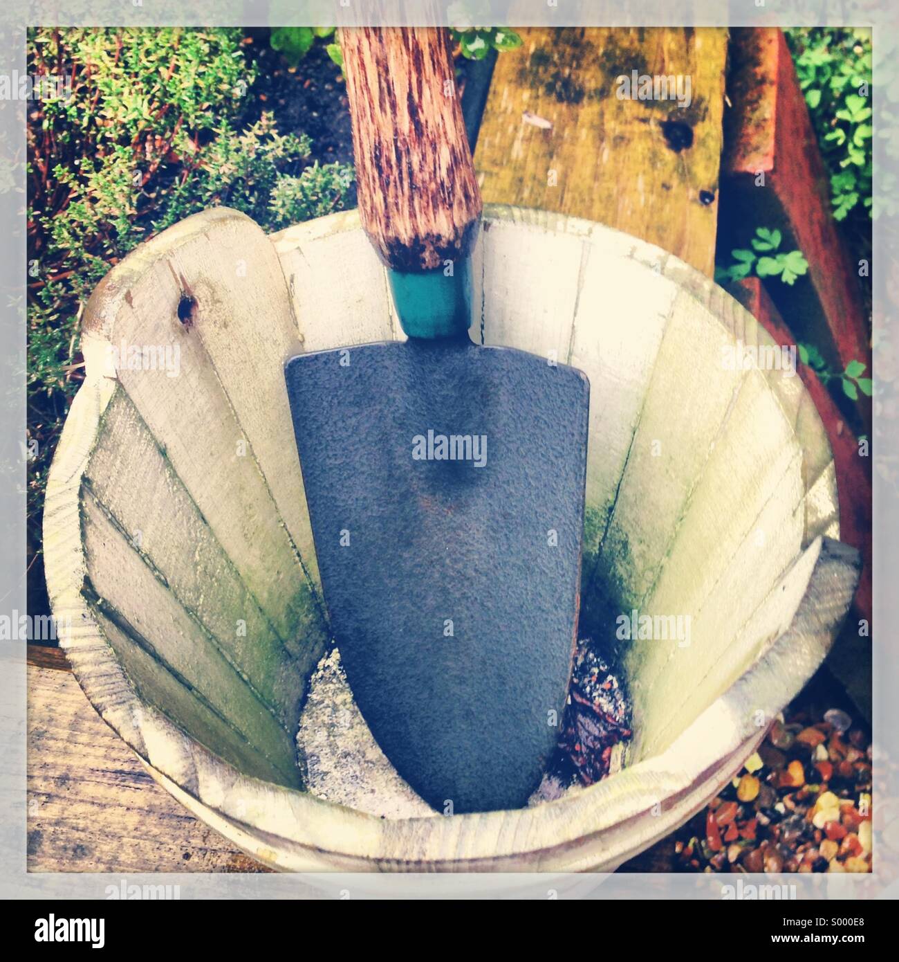 Small spade in bucket Stock Photo - Alamy