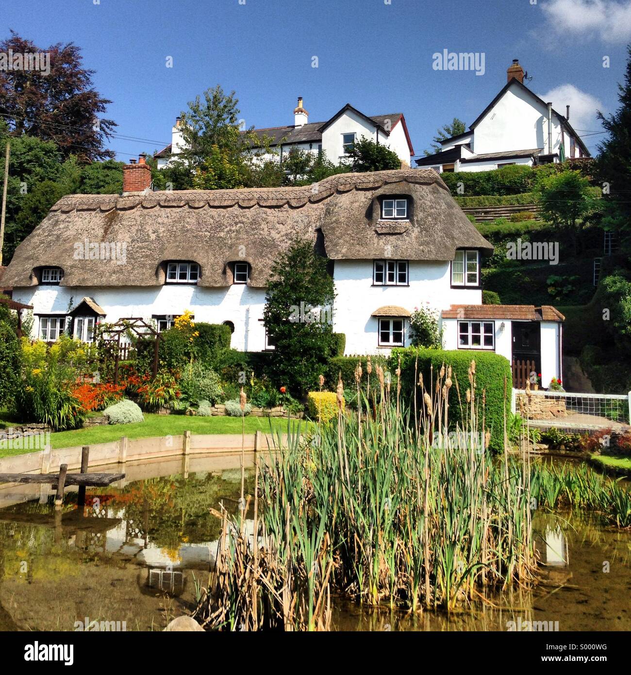 Bishopstone hi-res stock photography and images - Alamy