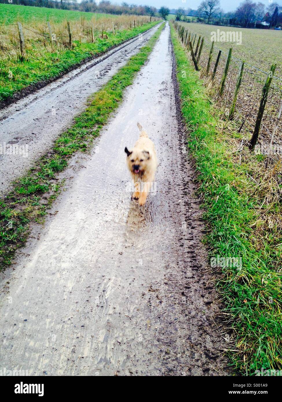 Lane border hi-res stock photography and images - Alamy
