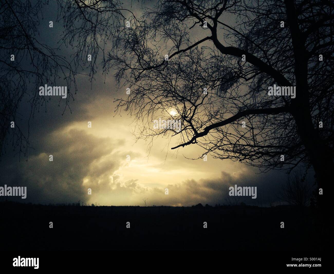 Moody sky with trees hi-res stock photography and images - Alamy