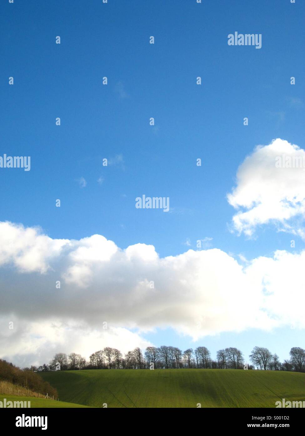 Blue sky over Ridgway UK Stock Photo - Alamy