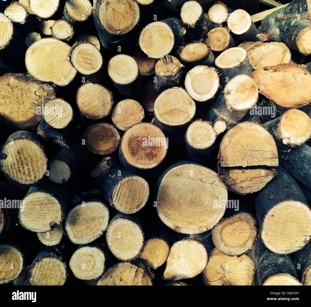 Logs hi-res stock photography and images - Alamy