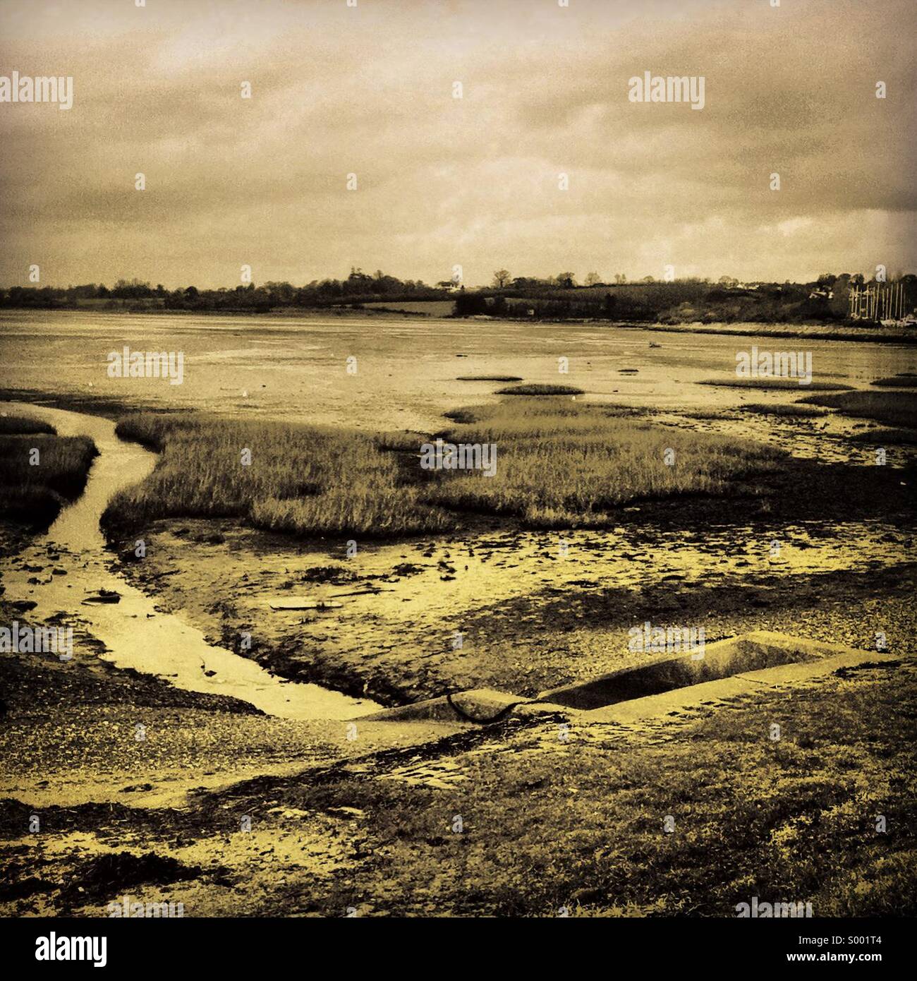 Exe Estuary Stock Photos & Exe Estuary Stock Images - Alamy