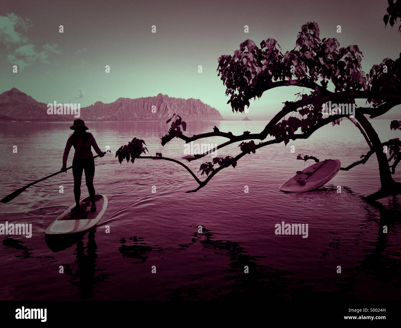 John de mello john de mello photography hi-res stock photography and ...