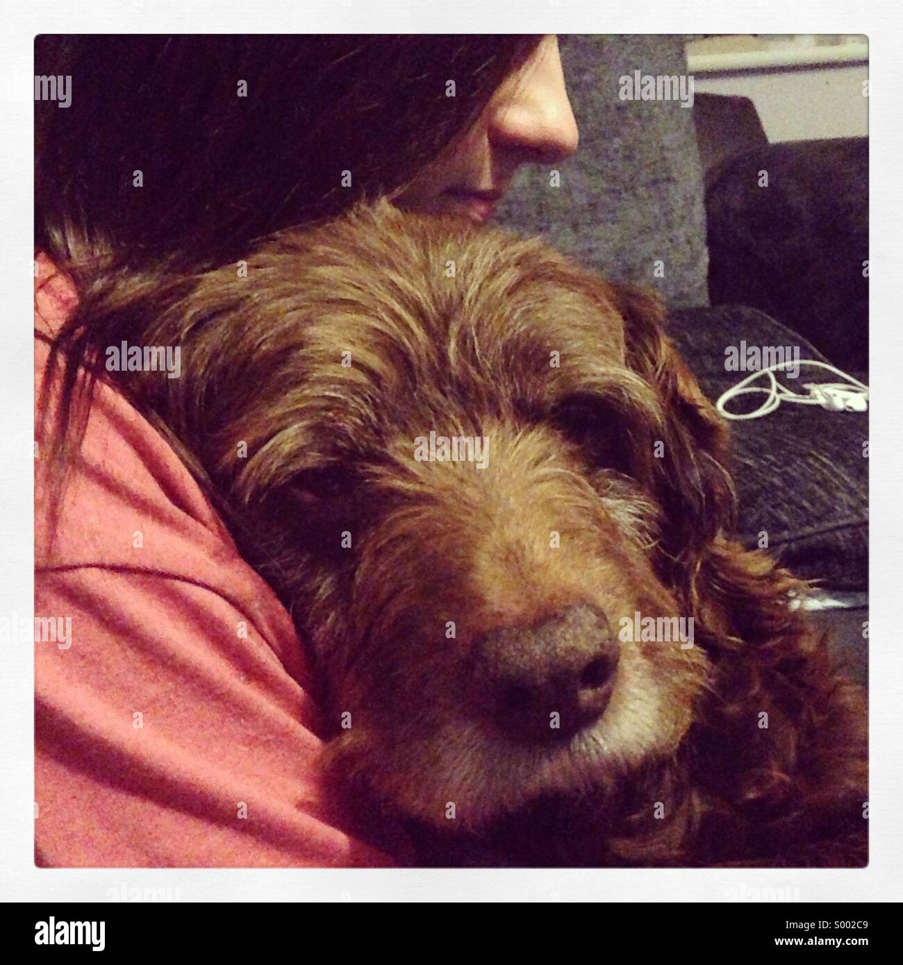 Coddle Dog