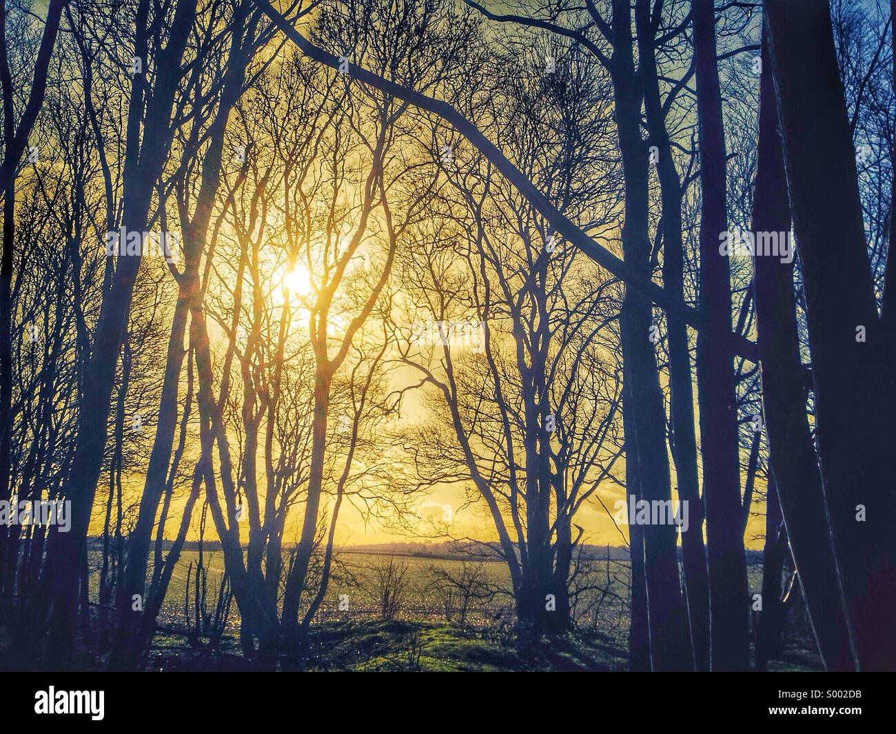 Hazy yellow hi-res stock photography and images - Alamy