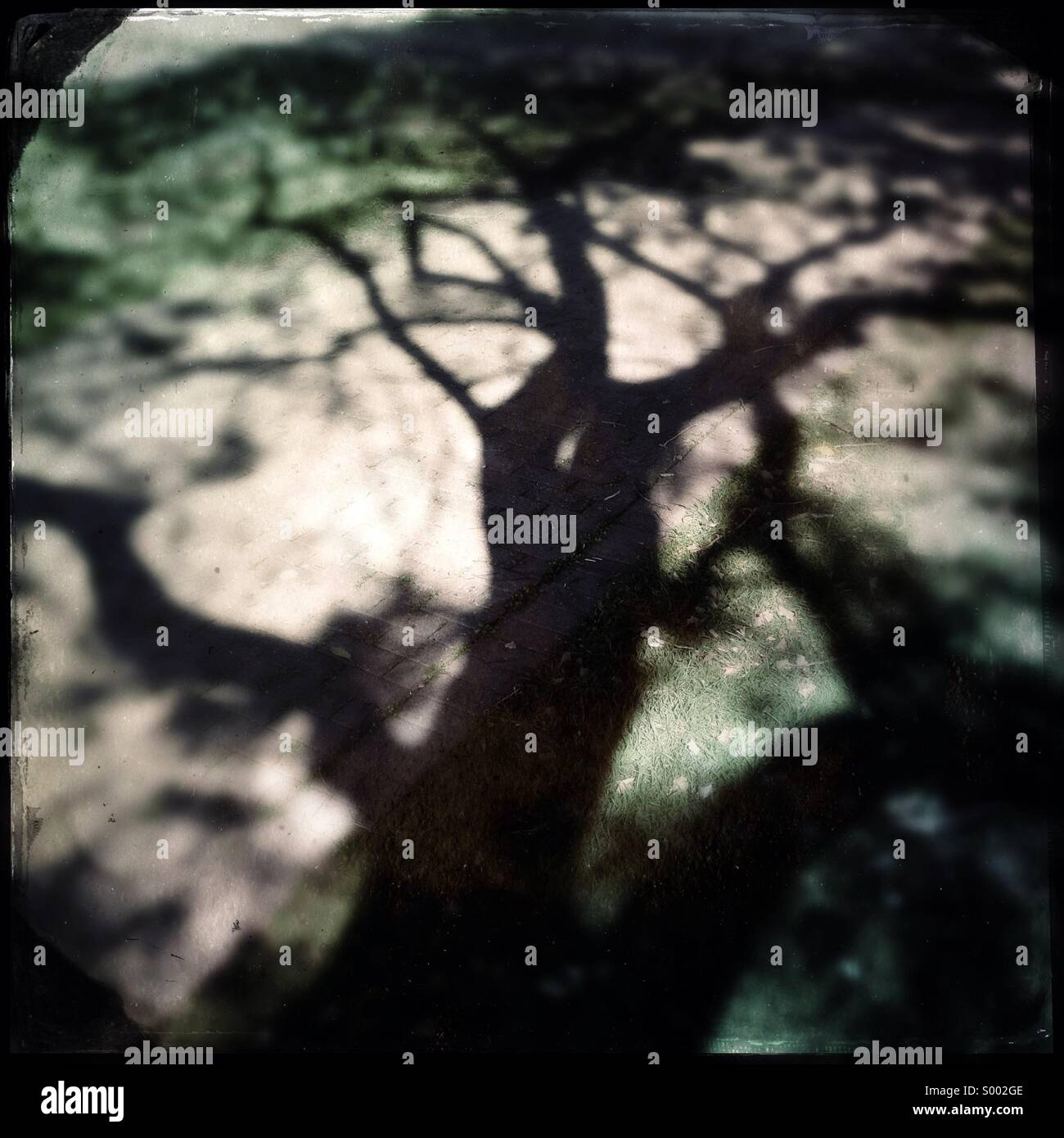 Shadow pathway hi-res stock photography and images - Alamy