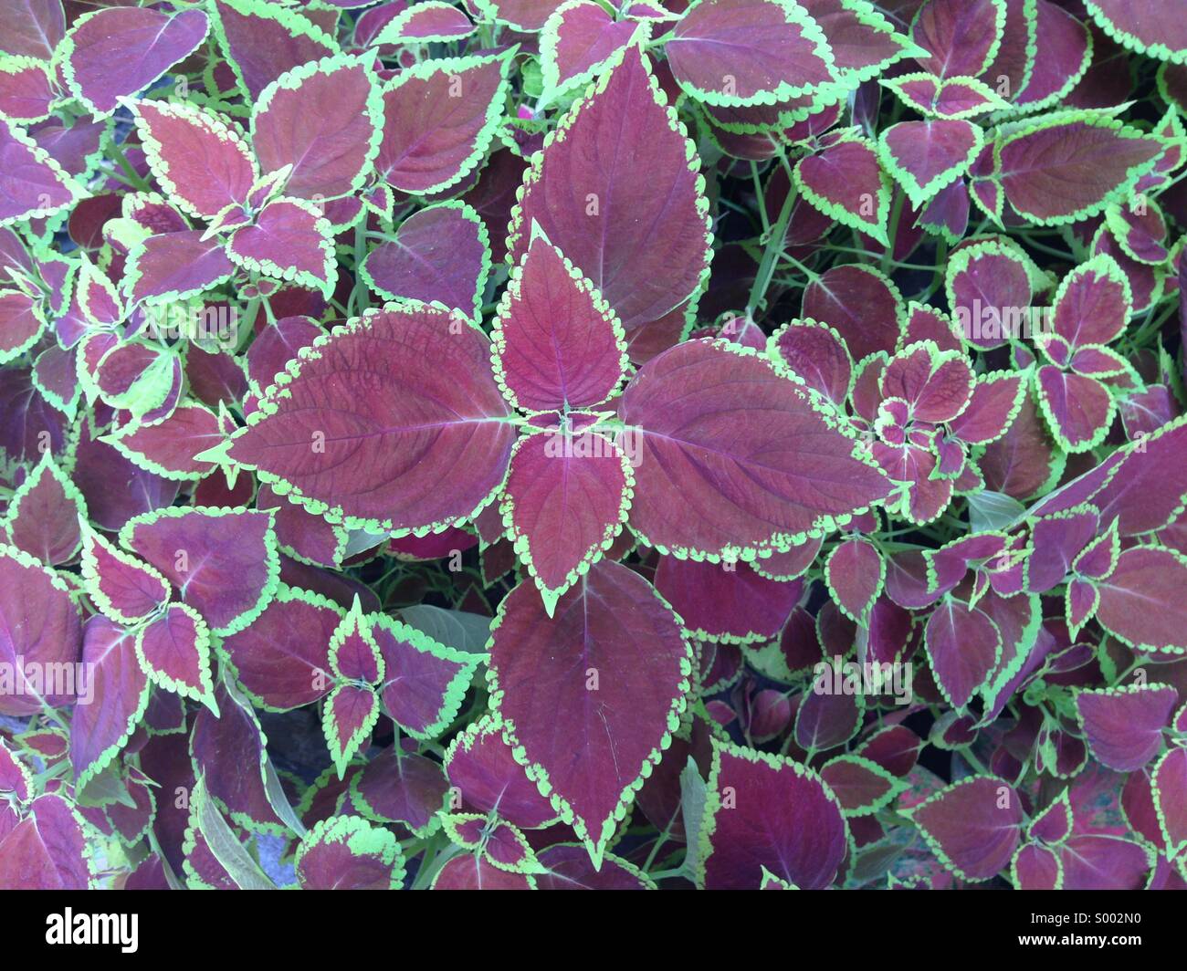 Good plans hi-res stock photography and images - Alamy