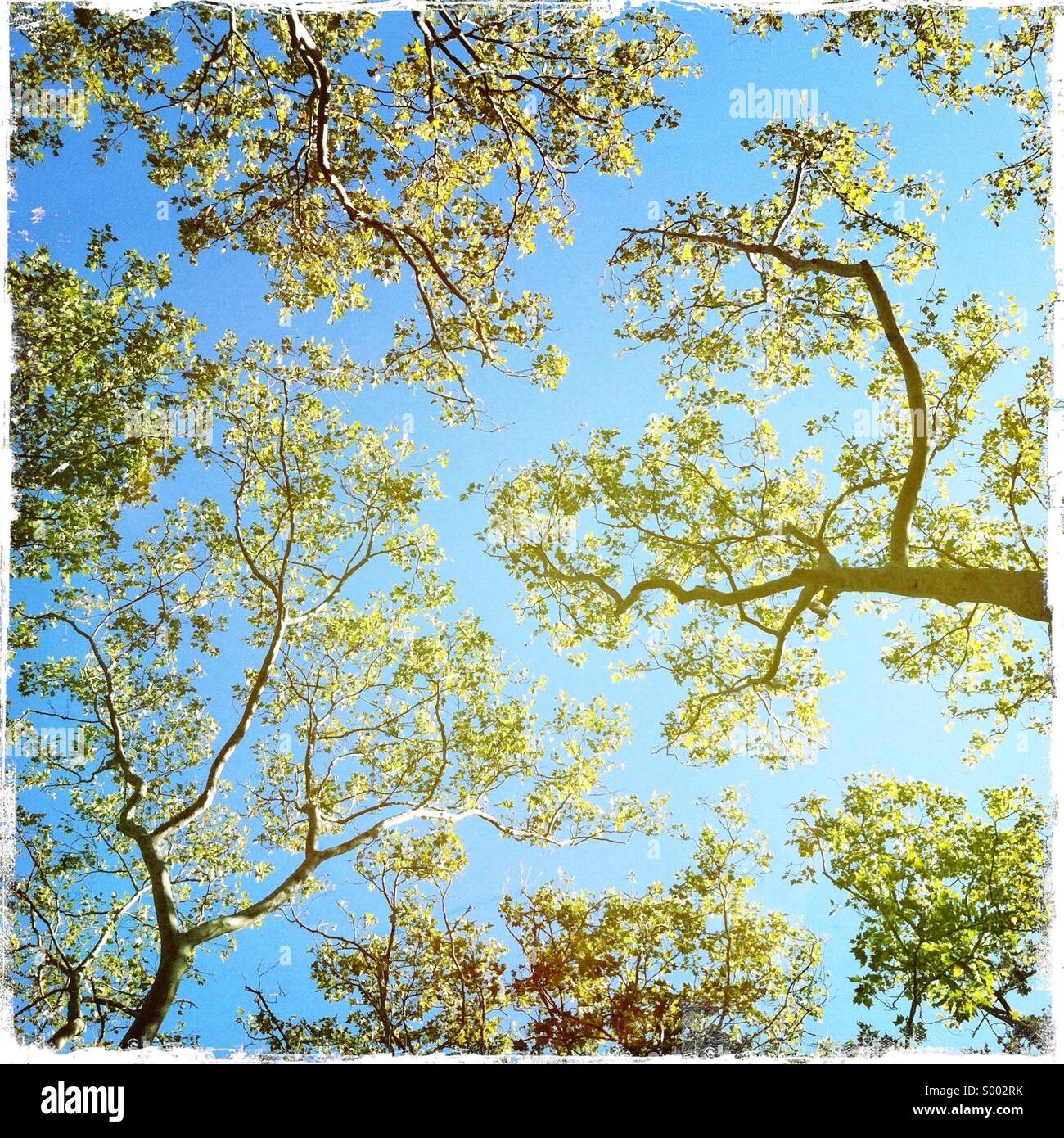 Growth hi-res stock photography and images - Alamy