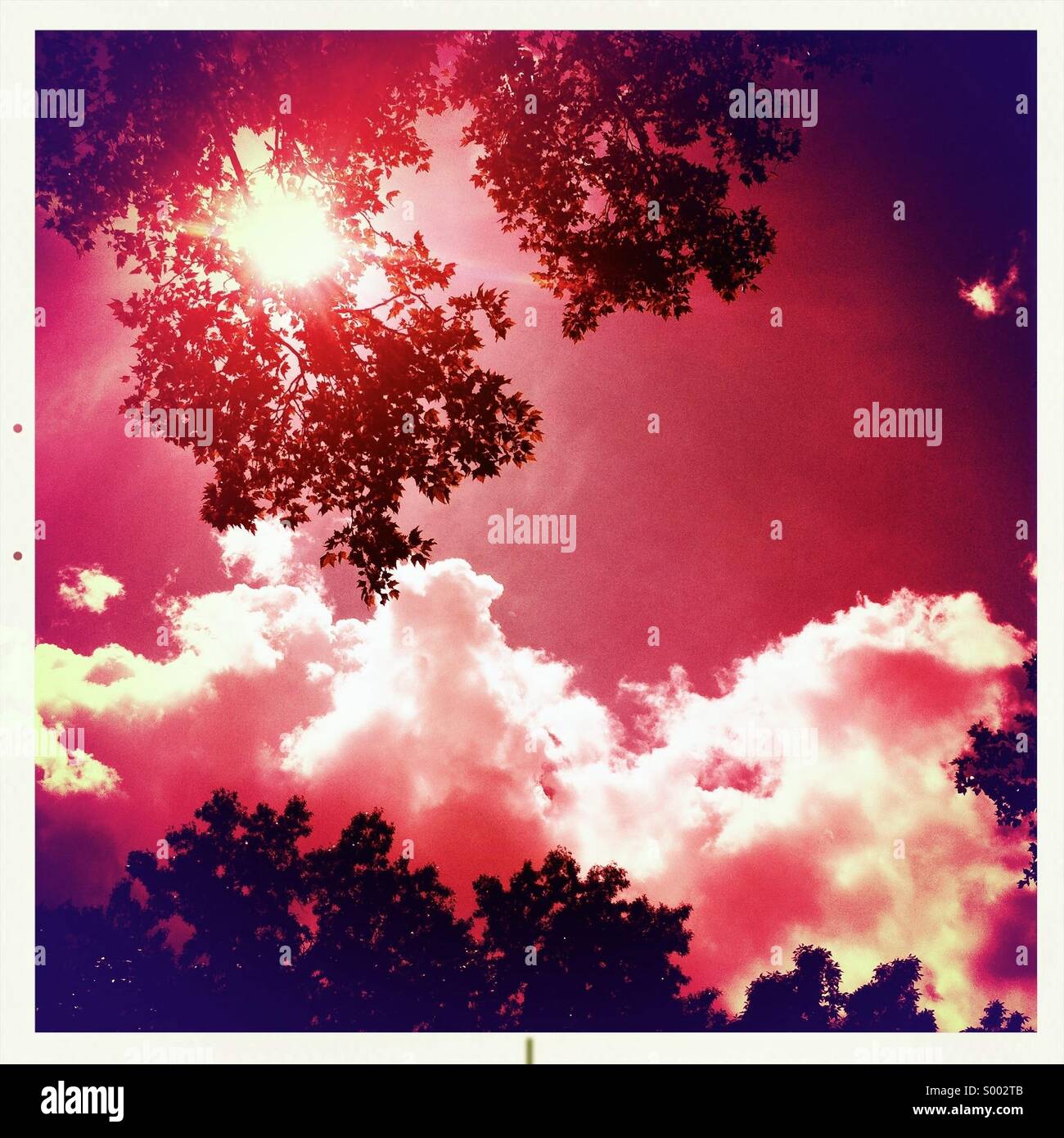 Sunshine thru trees hi-res stock photography and images - Alamy