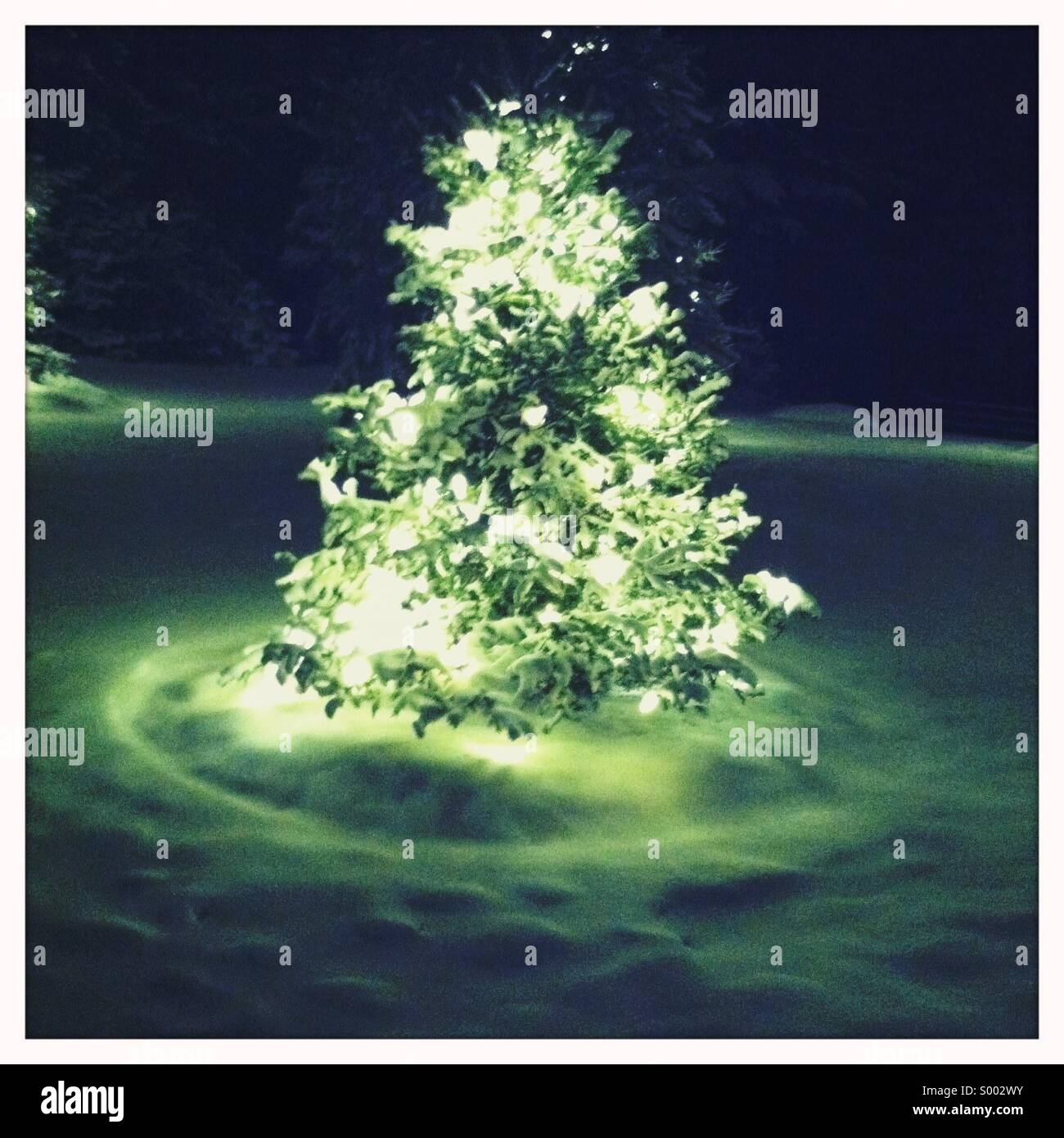 Holidays tree hi-res stock photography and images - Alamy