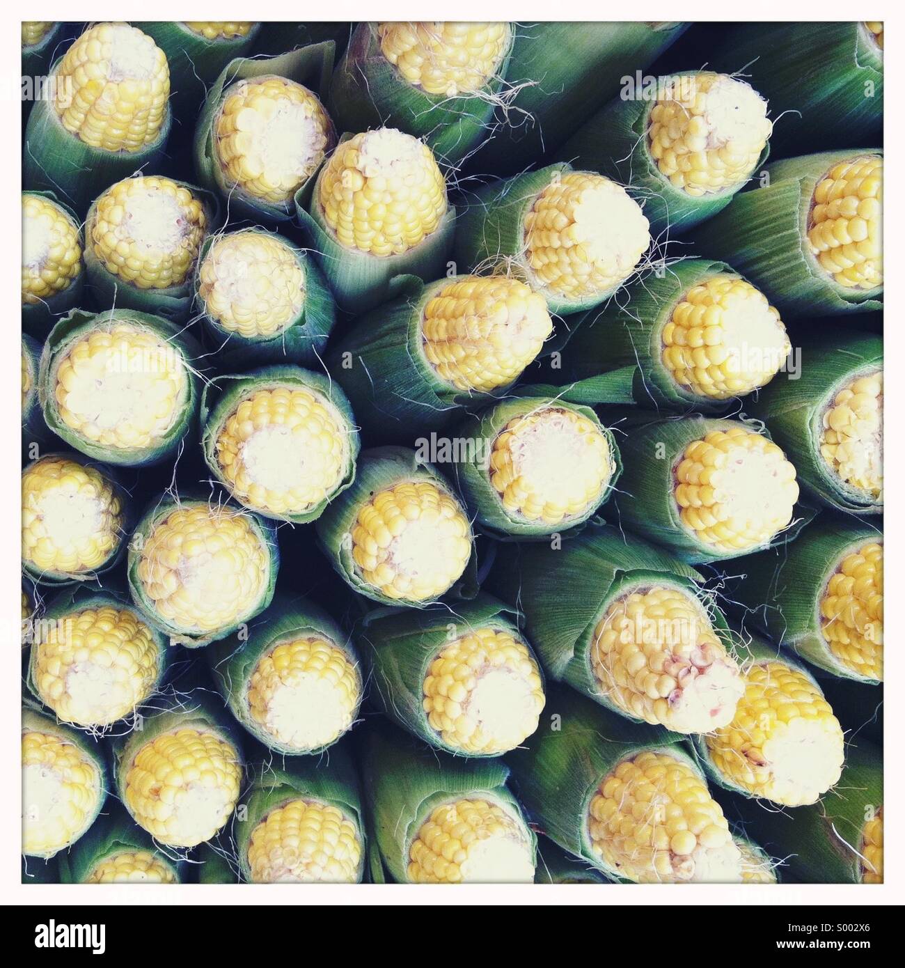 Edible corn hi-res stock photography and images - Alamy