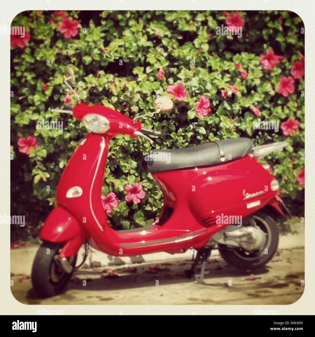 Red moped hi-res stock photography and images - Alamy