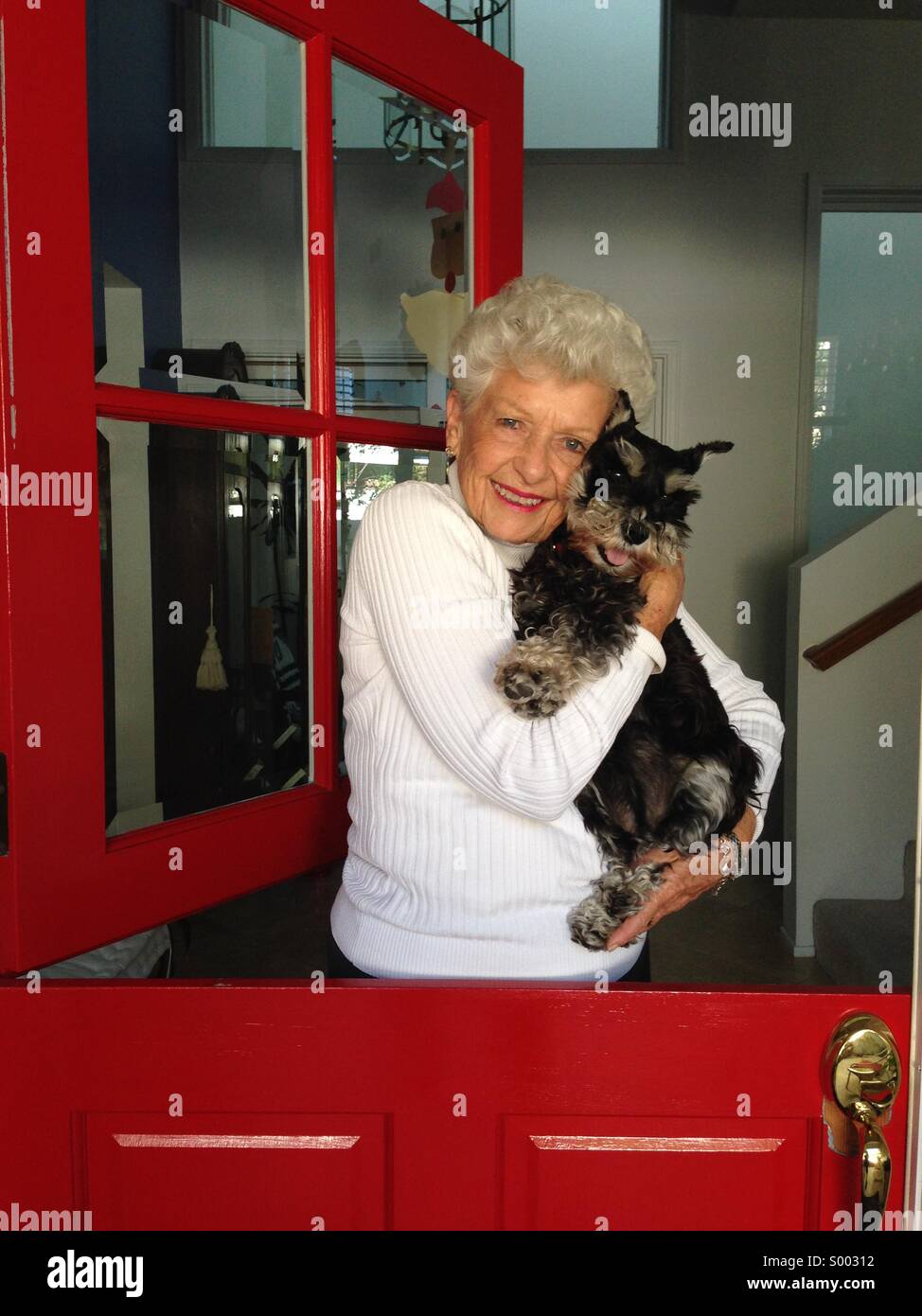 Grandma and her dog Stock Photo - Alamy