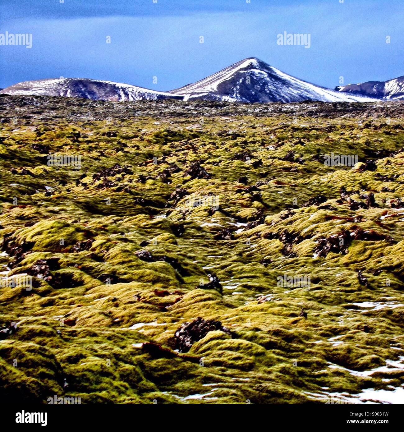Lava field. Iceland Stock Photo - Alamy