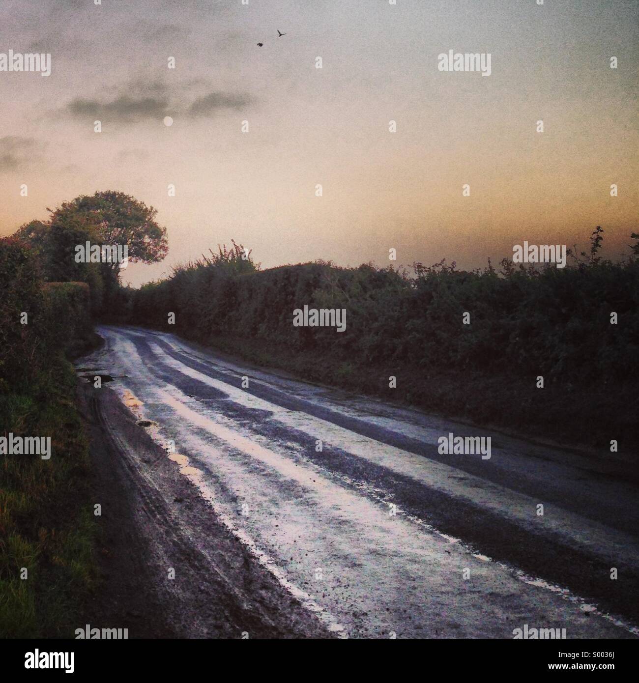 Moon and dusk hi-res stock photography and images - Alamy