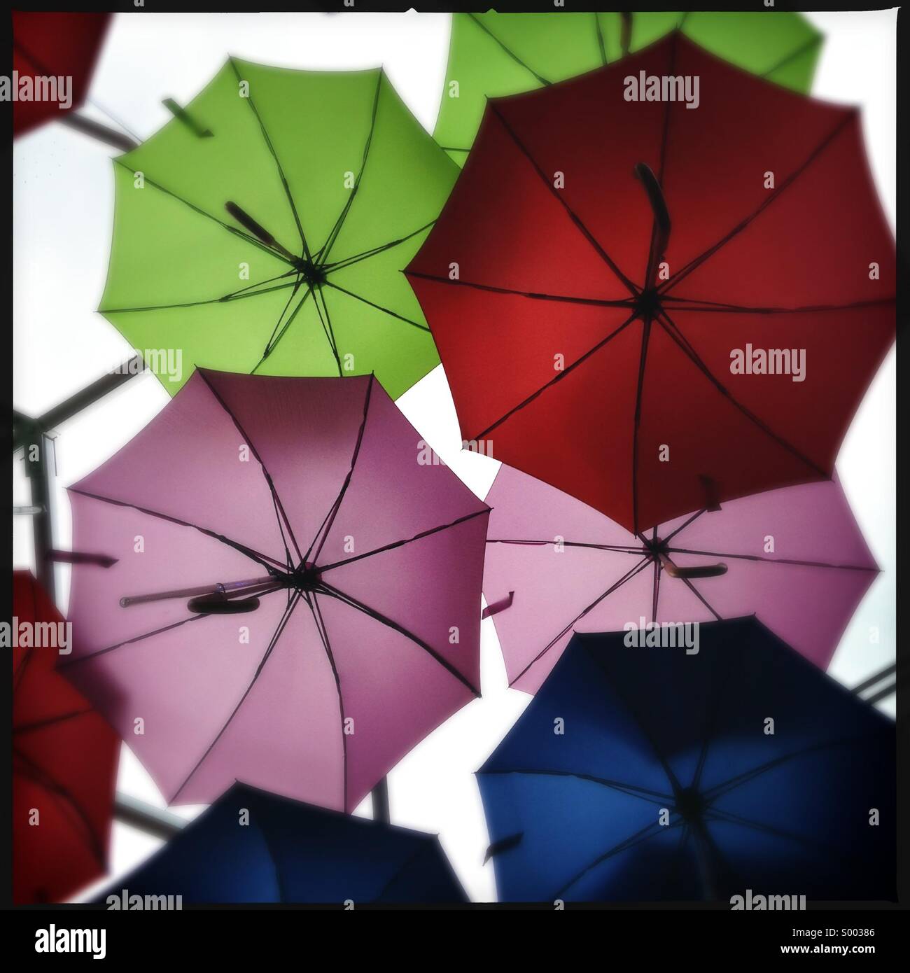 A bunch of colourful umbrellas Stock Photo - Alamy