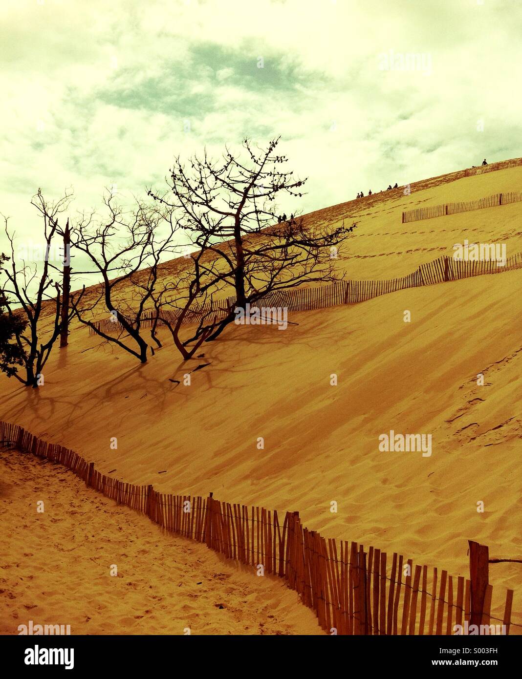 Dunes of pyla hi-res stock photography and images - Alamy