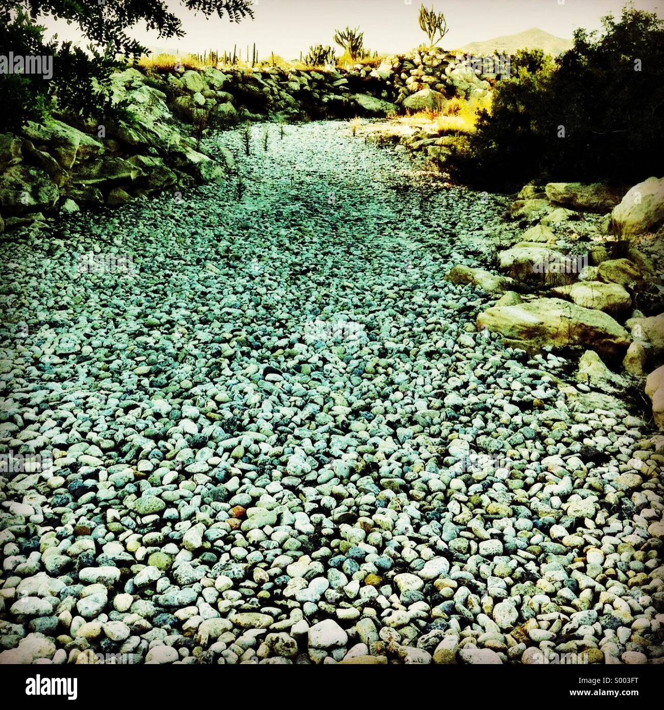 Golf stream hi-res stock photography and images - Alamy