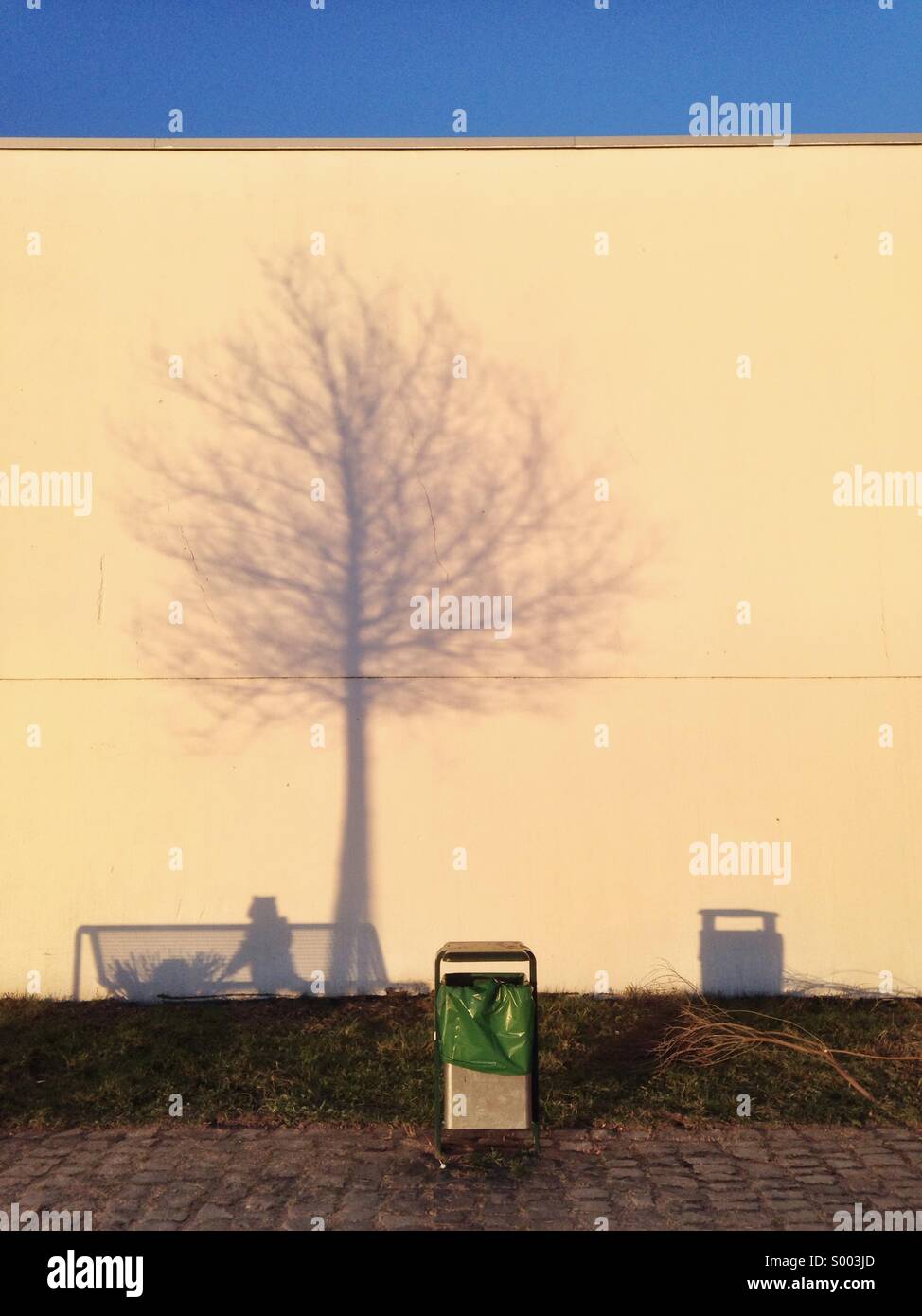 Tree Shadow High Resolution Stock Photography and Images - Alamy