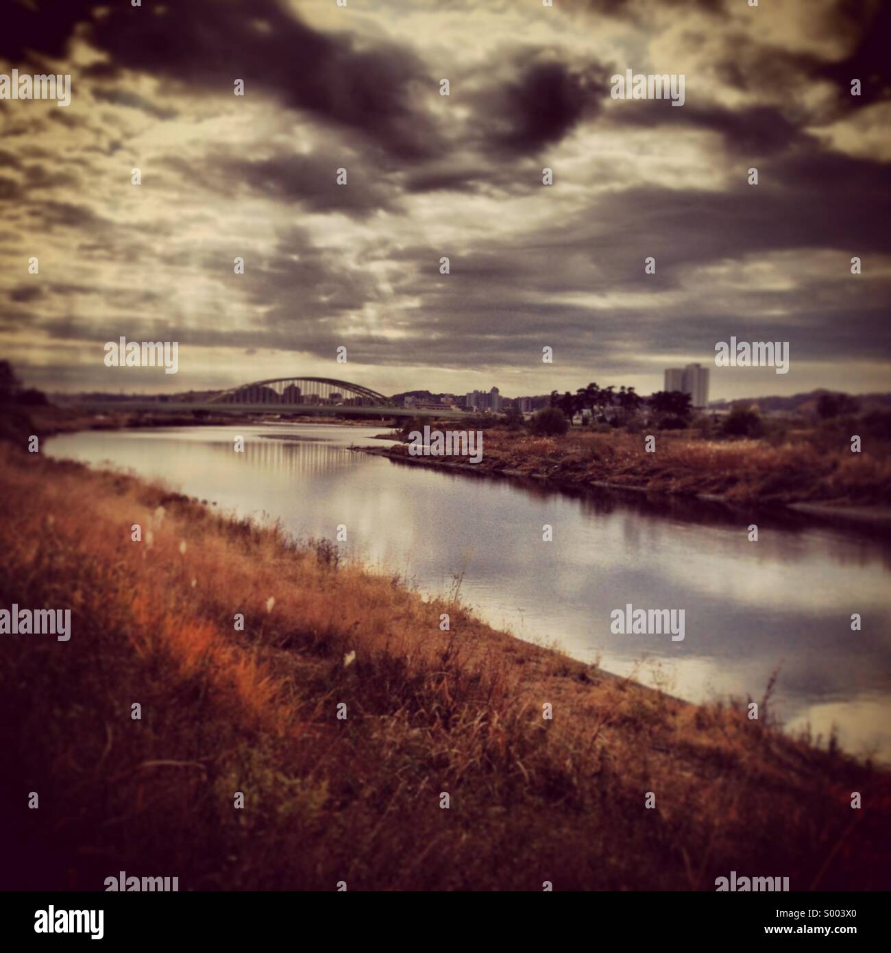 Tamagawa riverside hi-res stock photography and images - Alamy