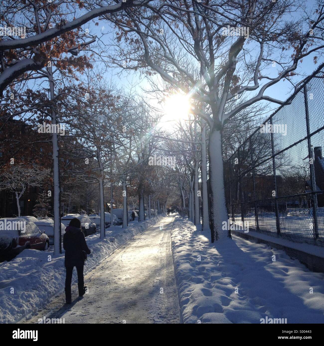 Brooklyn Snow Stock Photos & Brooklyn Snow Stock Images - Alamy