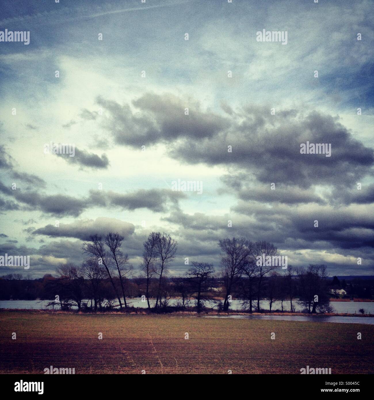 Wind rain storm trees hi-res stock photography and images - Alamy