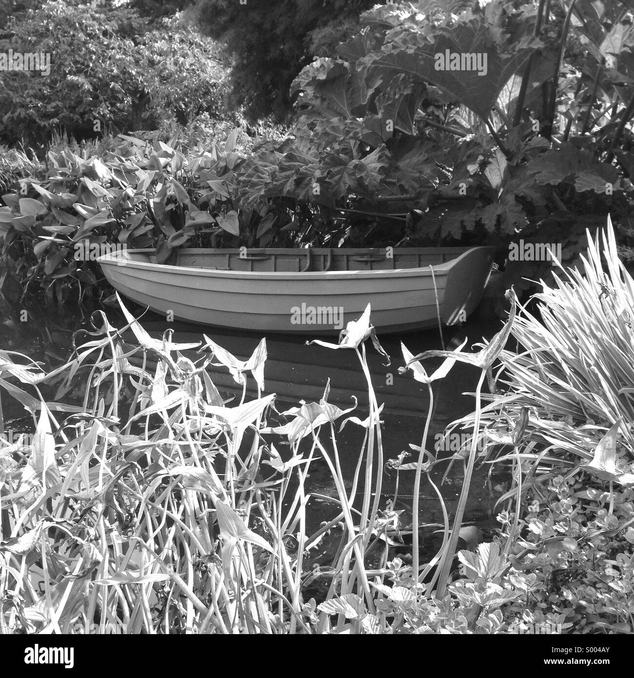 Hidden boat Black and White Stock Photos & Images - Alamy